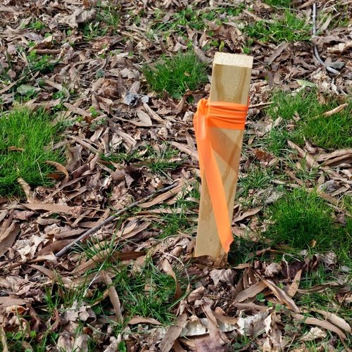 Order 58353 by Brady 1.188" x 150' Plastic Flagging Tape, Fluorescent ...