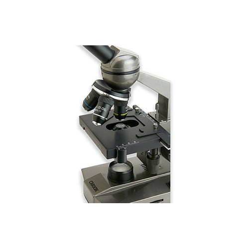 Order MS-100 by Carson Optical 100x-1000x Table-Top Microscope - US ...